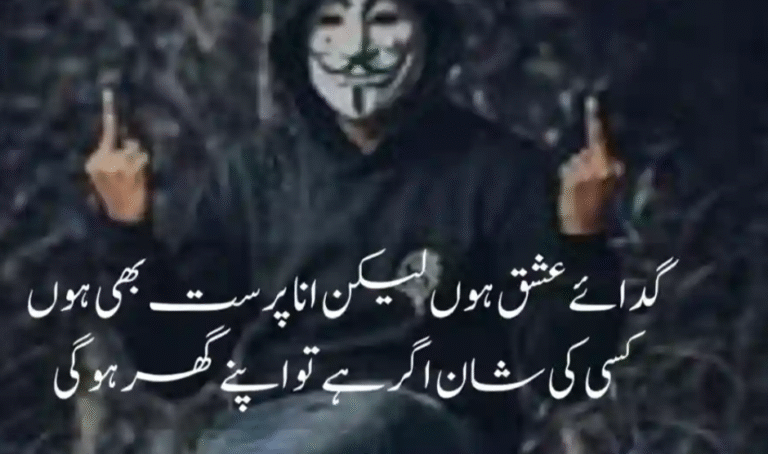 35+ Best Attitude poetry in urdu 2025 - poetryoceans