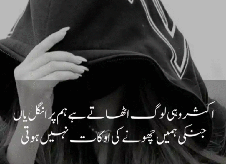 35+ Best Attitude poetry in urdu 2025 - poetryoceans